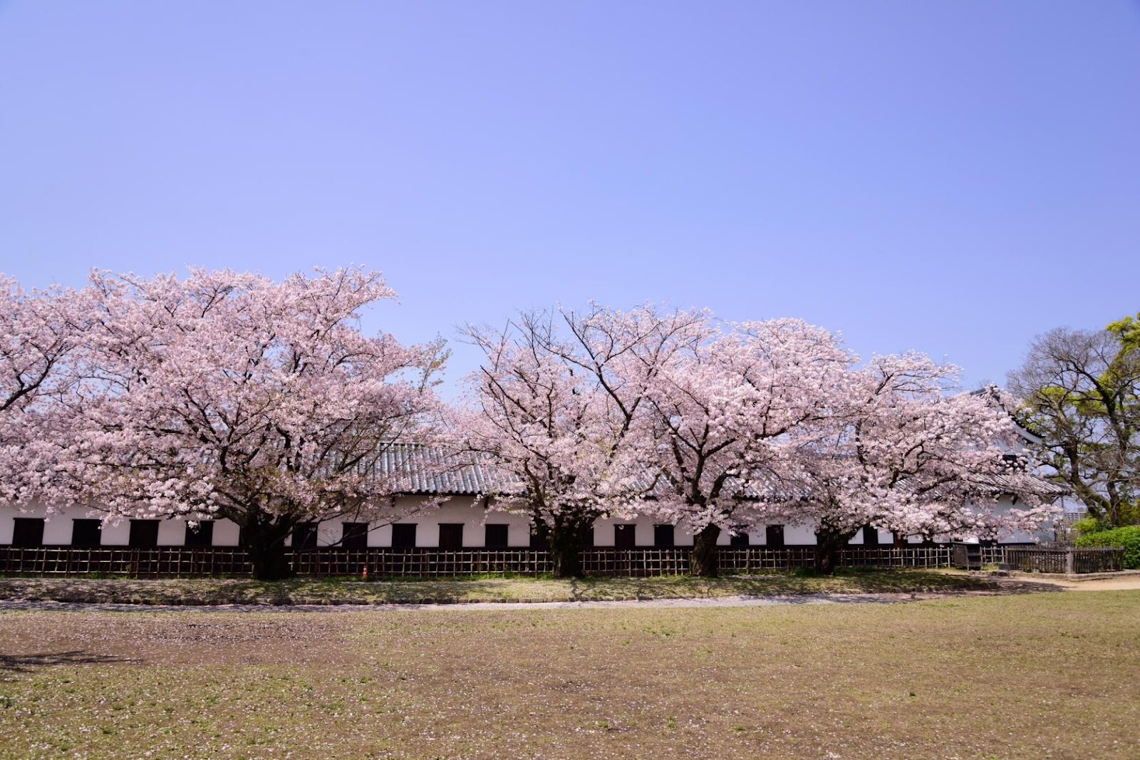 A Guide to Fukuoka Castle Ruins | Japan Navi Journey